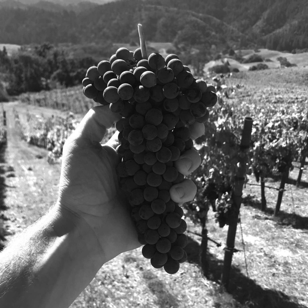 Mailing List Idlewild Wines